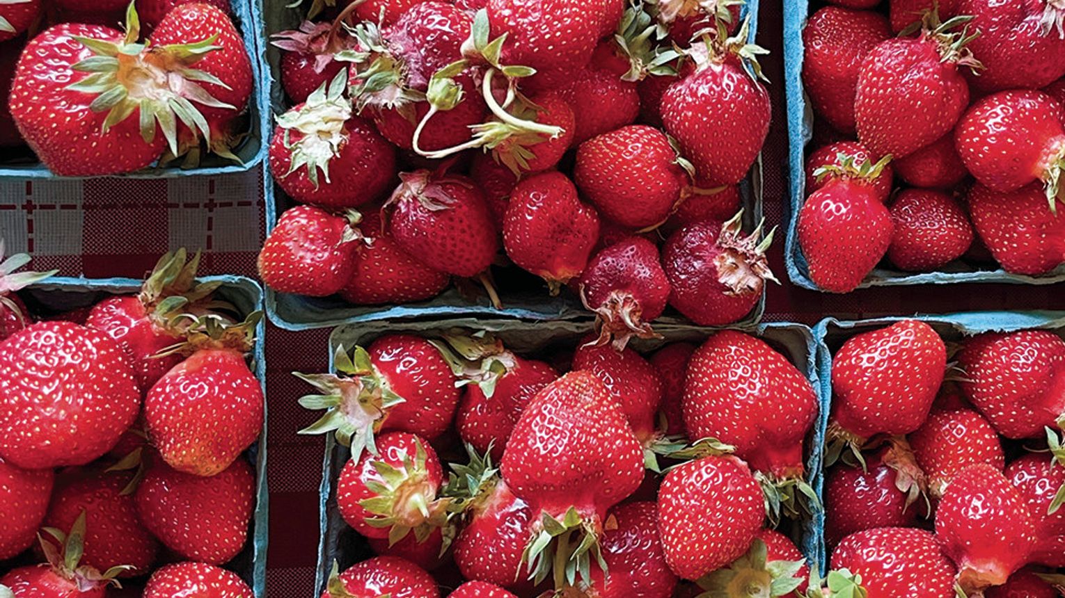 Berry harvest nearing