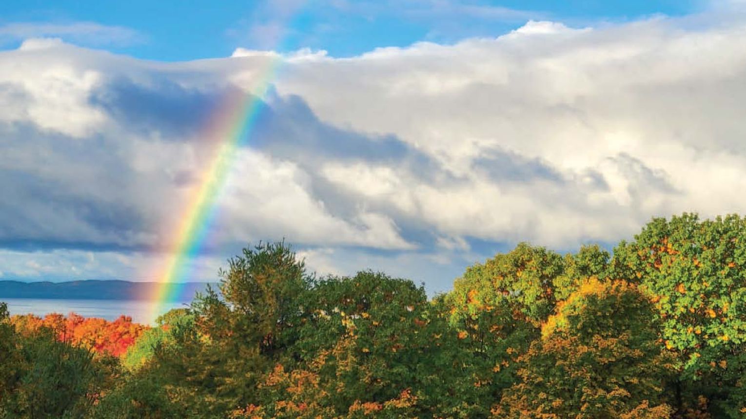Claire Shea captured this scene from her home yesterday