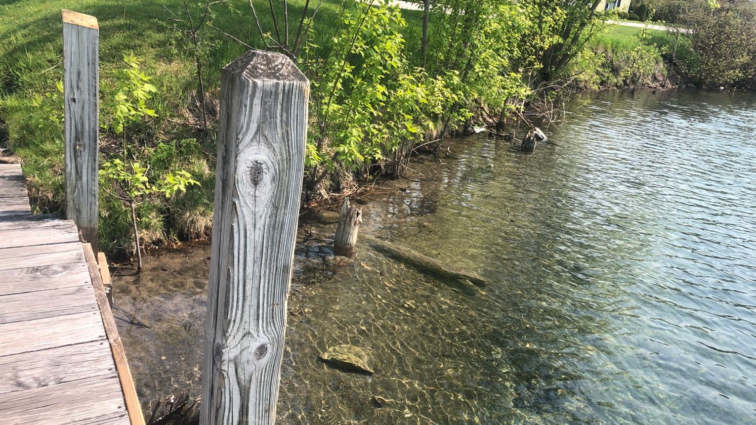 Dock removal: board members out of the loop