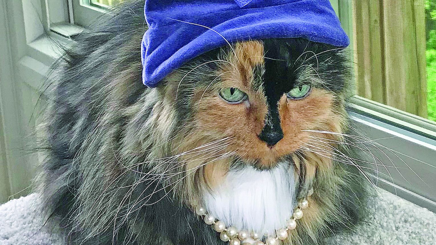 First feline Omena mayor passes