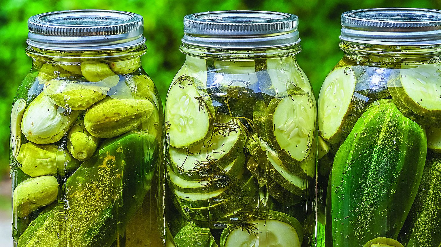 Pickle Recipes