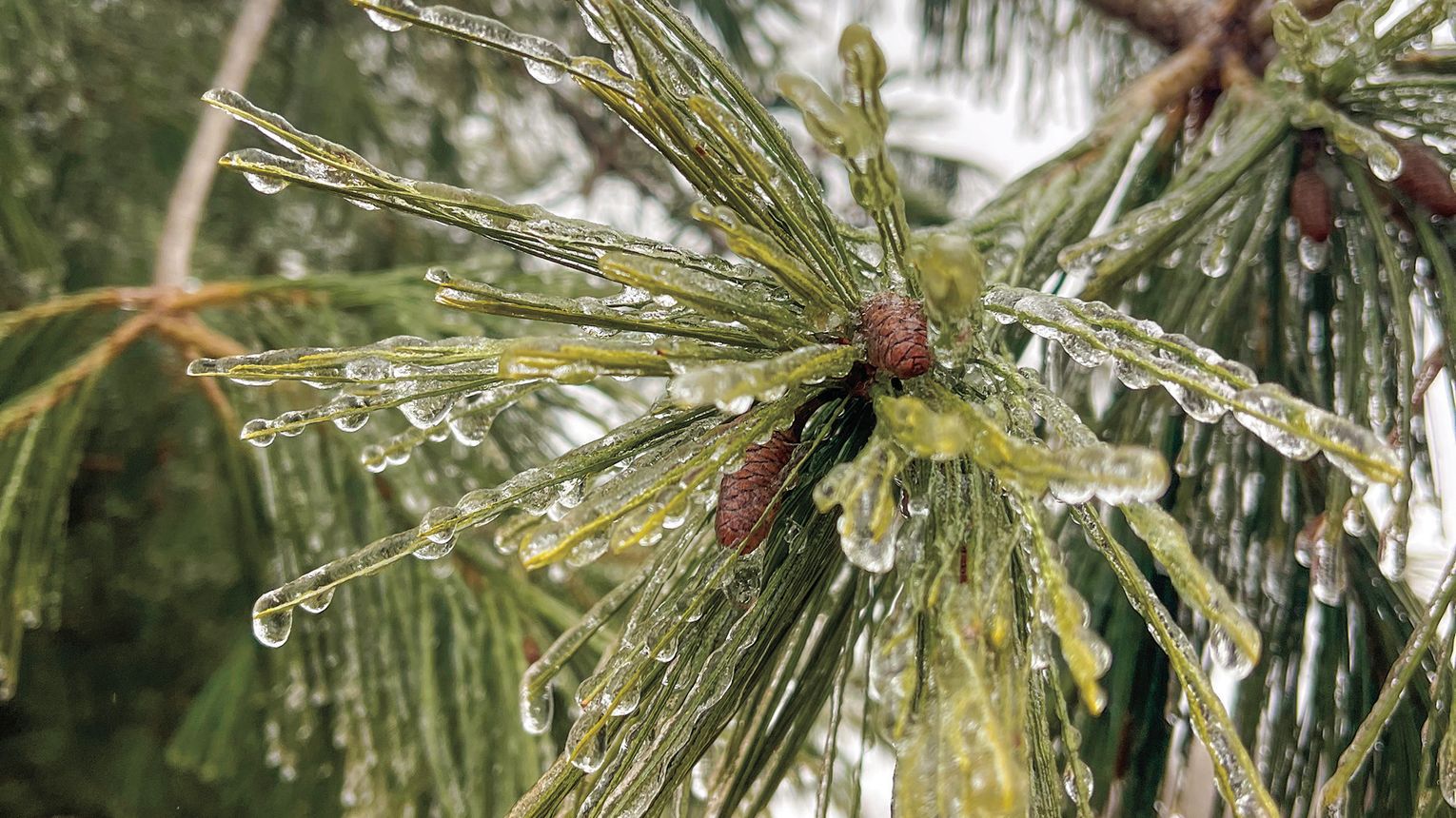 Wintry weather mix ahead