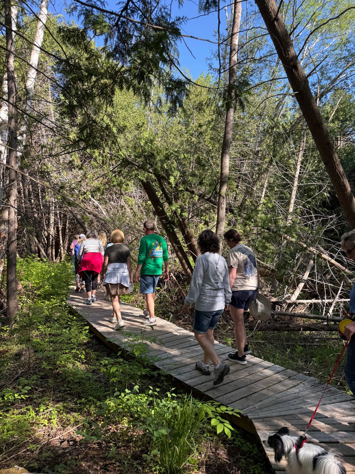 Let’s Walk Suttons Bay: explore the village on foot